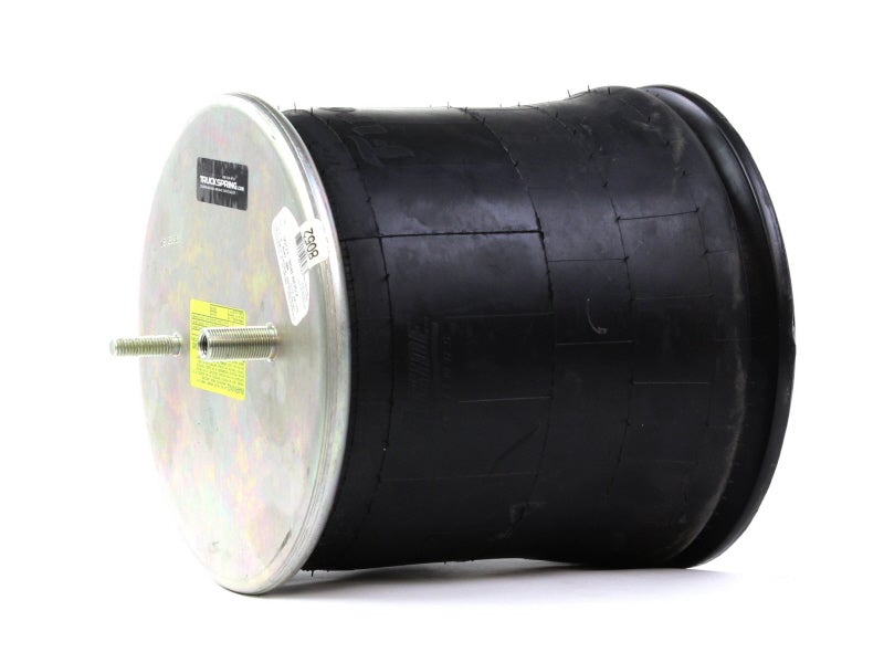 W01-358-8052 | Firestone Airide Air Spring | 1T19J-6